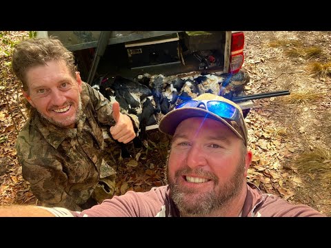 Magpie Goose Catch And Cook Schnitzels - YouTube