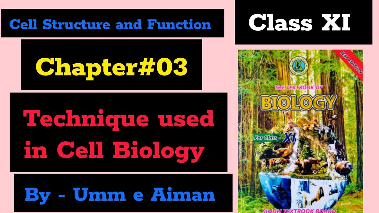 Technique used in Cell Biology -Chapter#03 -Class XI -Sindh Board -By Umm e Aiman - YouTube