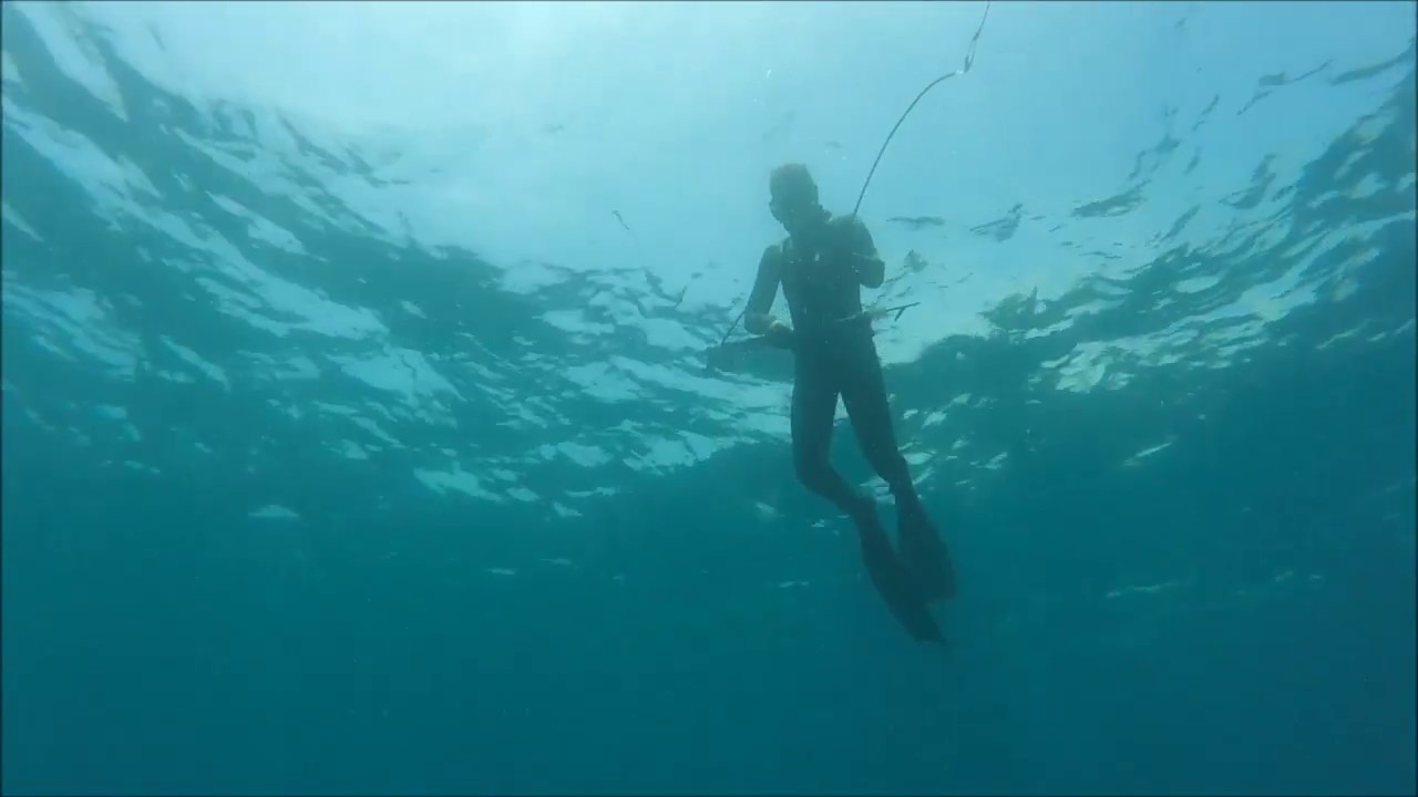 Spearfishing South Africa December 2016 - YouTube