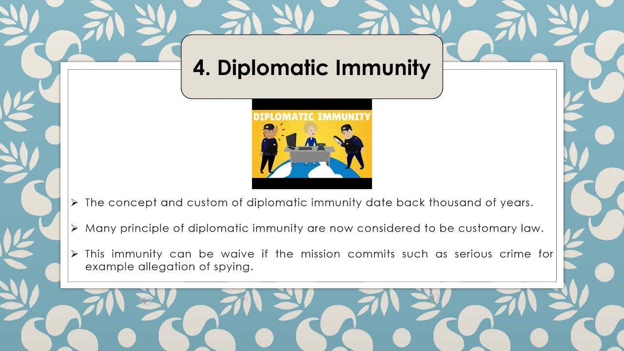 Immunities and Diplomatic Protection (International Law) - YouTube
