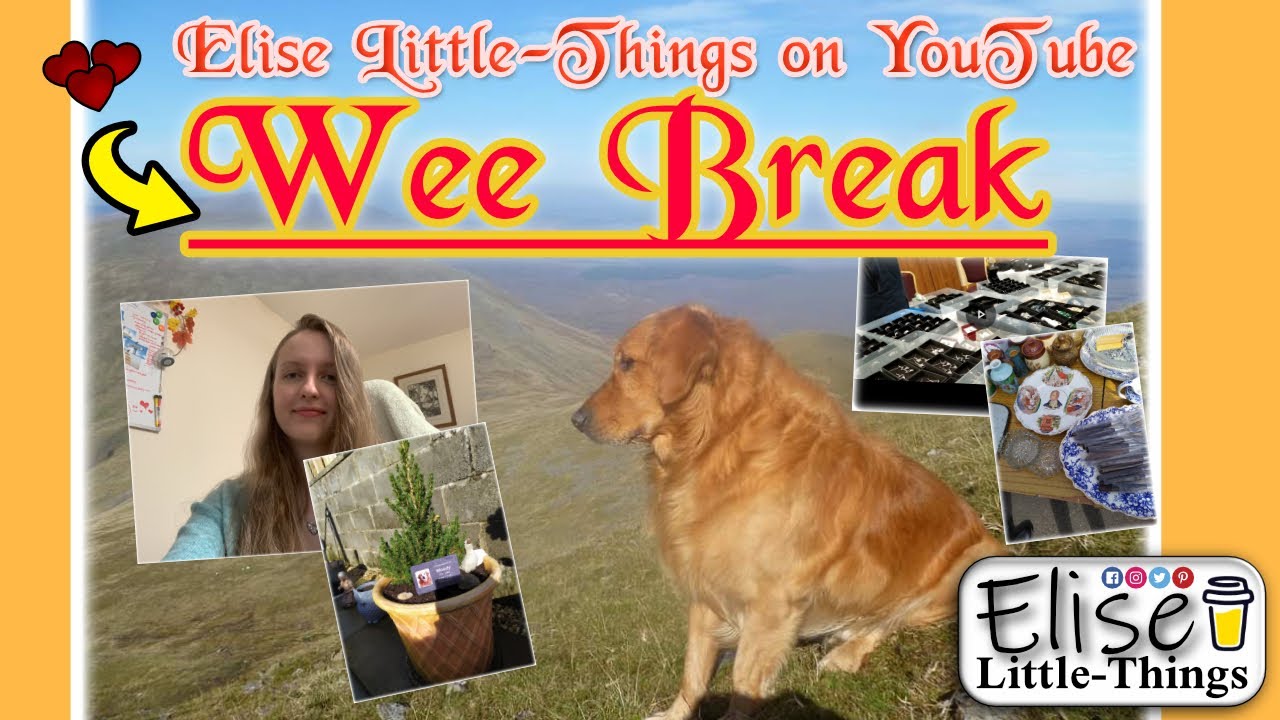 A Wee Break from Design - Elise Little-Things - YouTube