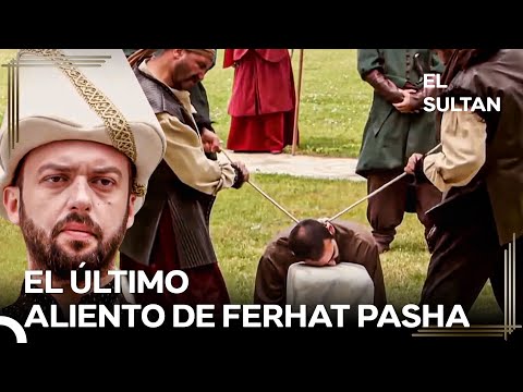 ¡Suleimán Dio La Ejecución De Ferhat Pasha! | El Sultán