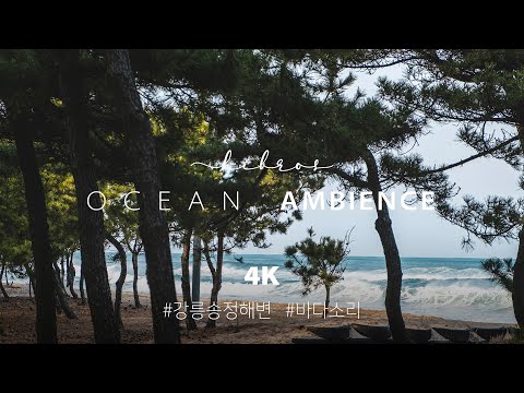 🎧 Songjeong Beach Ocean Ambience, Nature Sounds | Feel KOREA 4K Binaural Nature ASMR | Gangneung