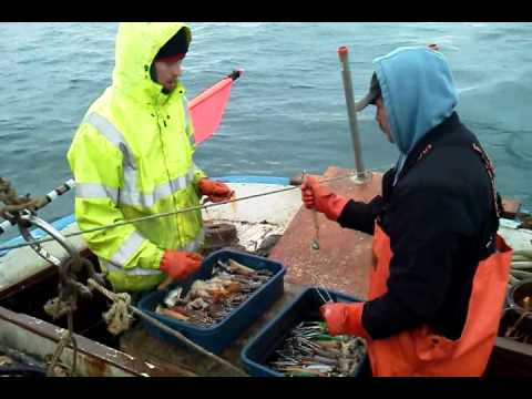 Long lining with snap gear - YouTube