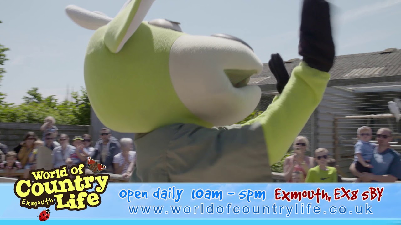Family Days Out at World of Country Life, Exmouth, Devon - YouTube