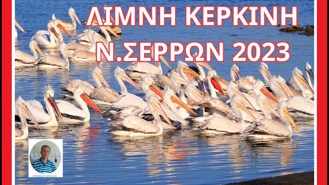 ΛΙΜΝΗ ΚΕΡΚΙΝΗ Ν.ΣΕΡΡΩΝ 2023 - YouTube