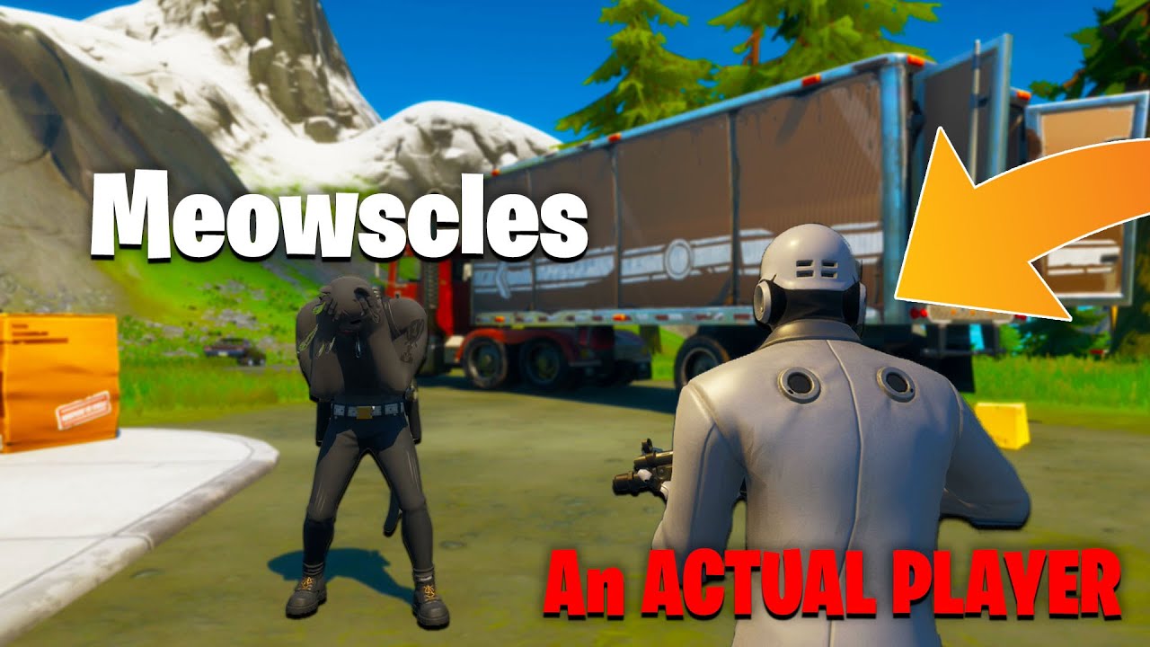 5 Minutes of Pretending to be Meowscles... 😭 - YouTube