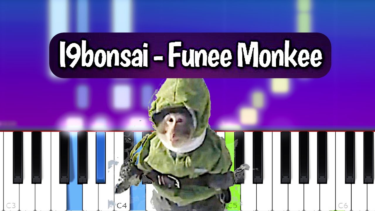 i9bonsai - funee monkee gif (Piano Tutorial) - YouTube