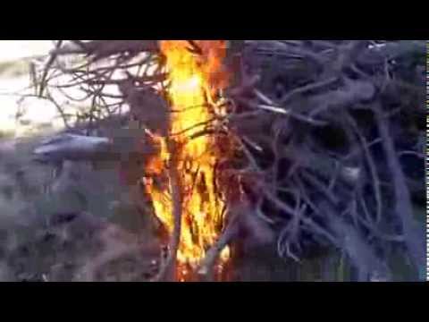 Burning Slash Piles - YouTube