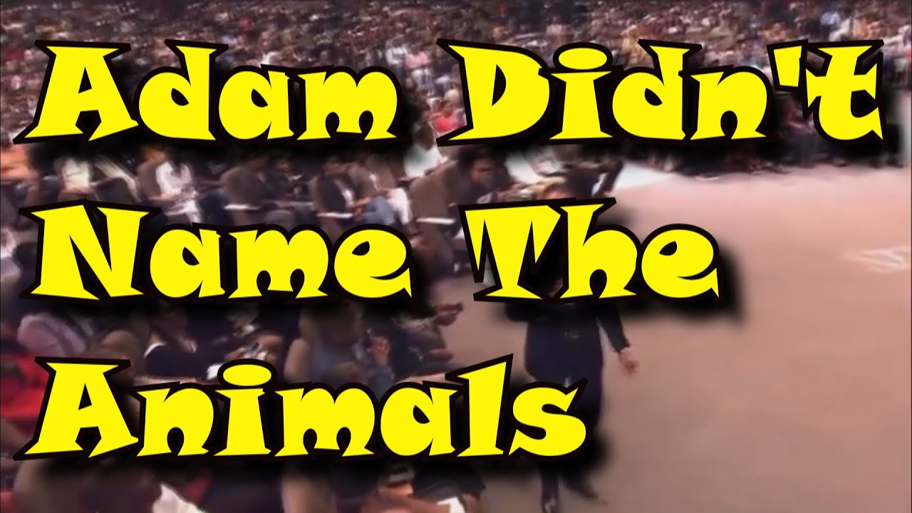 California Prophet Lovy Elias Exposed - YouTube