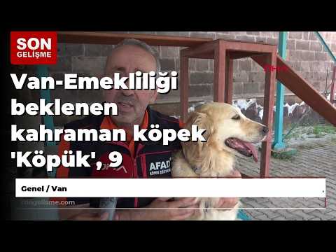 Van-Emekliliği beklenen kahraman köpek 'Köpük', 9 yaşında grup ikincisi oldu