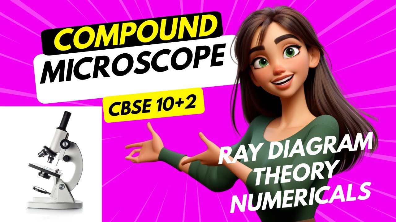 COMPOUND MICROSCOPE CONSTRUCTION AND THEORY EXPLAINED IN DETAIL - YouTube