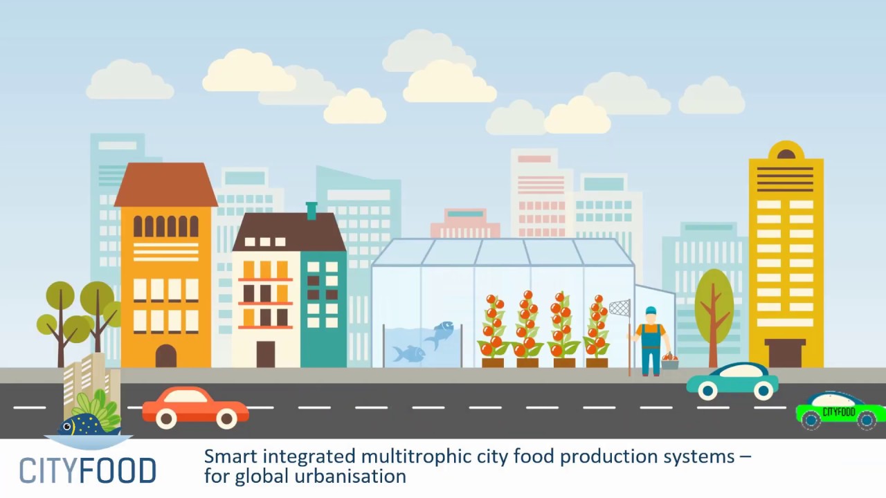 CITYFOOD – Smart integrated multitrophic city food production systems ...
