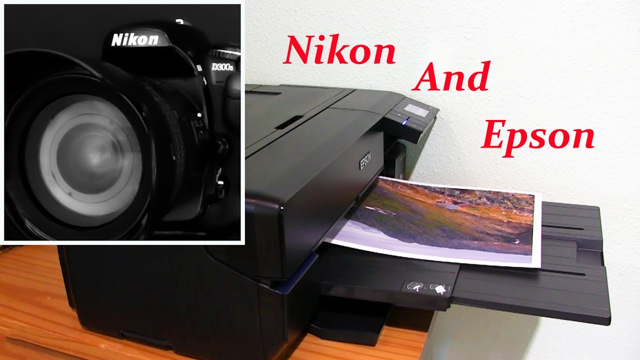 Printing A Picture From The Nikon D300s On An Epson SC P800 Printer ...