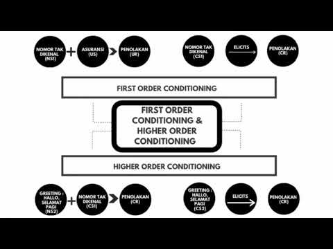 First Order Conditioning & Higher Order Conditioning - YouTube