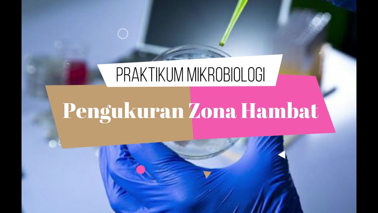 Praktikum Mikrobiologi: Zona Hambat - YouTube
