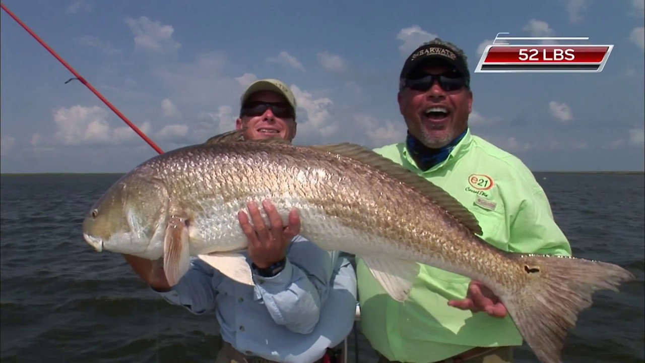 A Monster 50 lb Redfish - YouTube