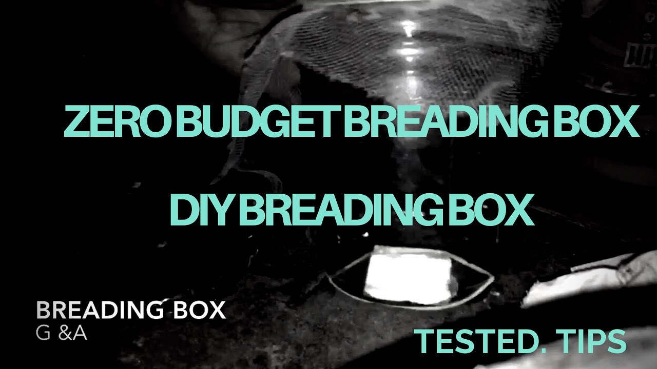 ഇങ്ങനെയും ഒരു #breading_box ഉണ്ടാകാം || DIY breading box - YouTube