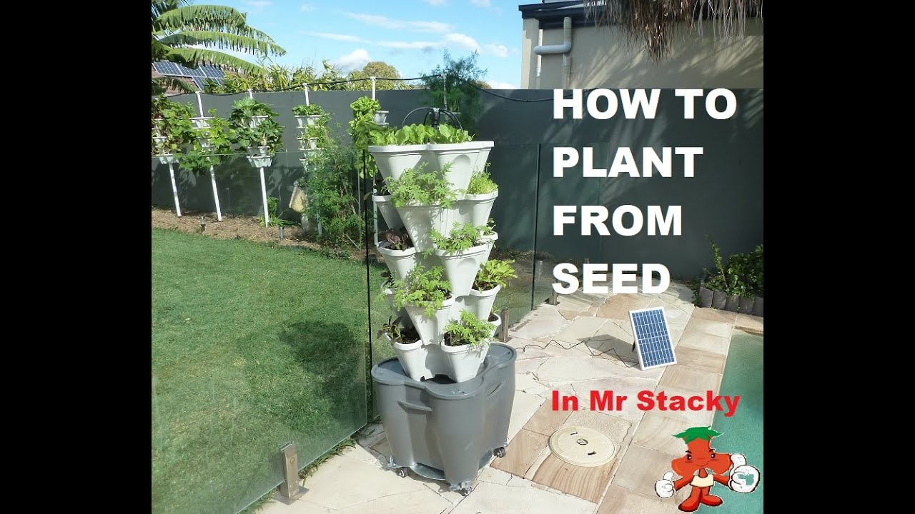 Planting from seed in Mr Stacky Tower Gardens - YouTube
