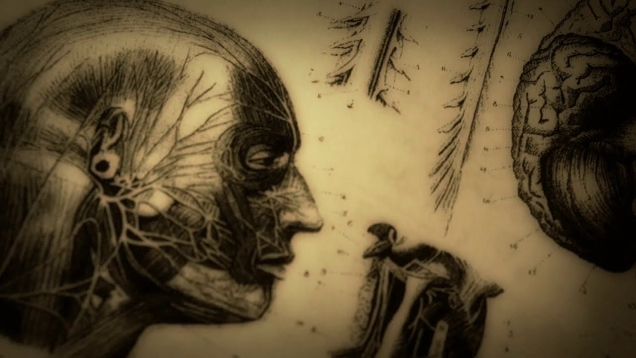 EVIL REALMS Official Book Trailer - YouTube