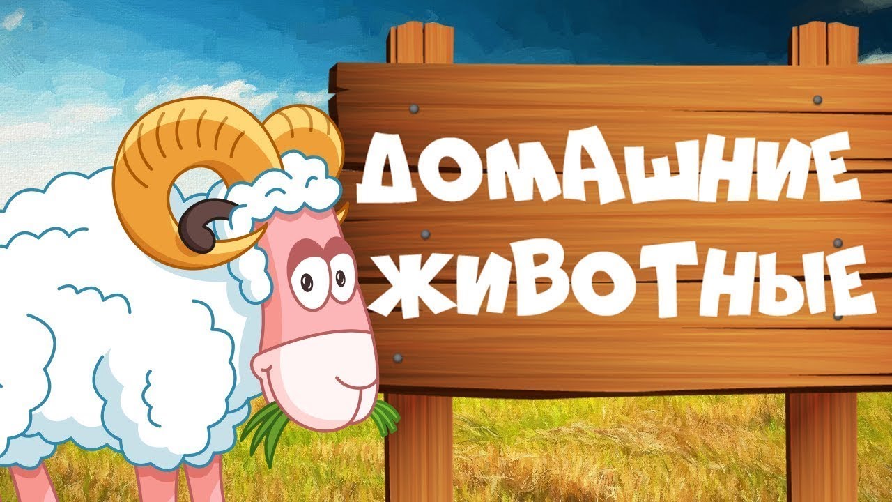 Знакомство с Домашними Животными | Домашние Животные и их Голоса - YouTube
