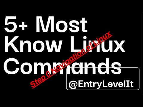 5 Simple & Basic Commands to Navigate Kali Linux - Cybersecurity Red ...