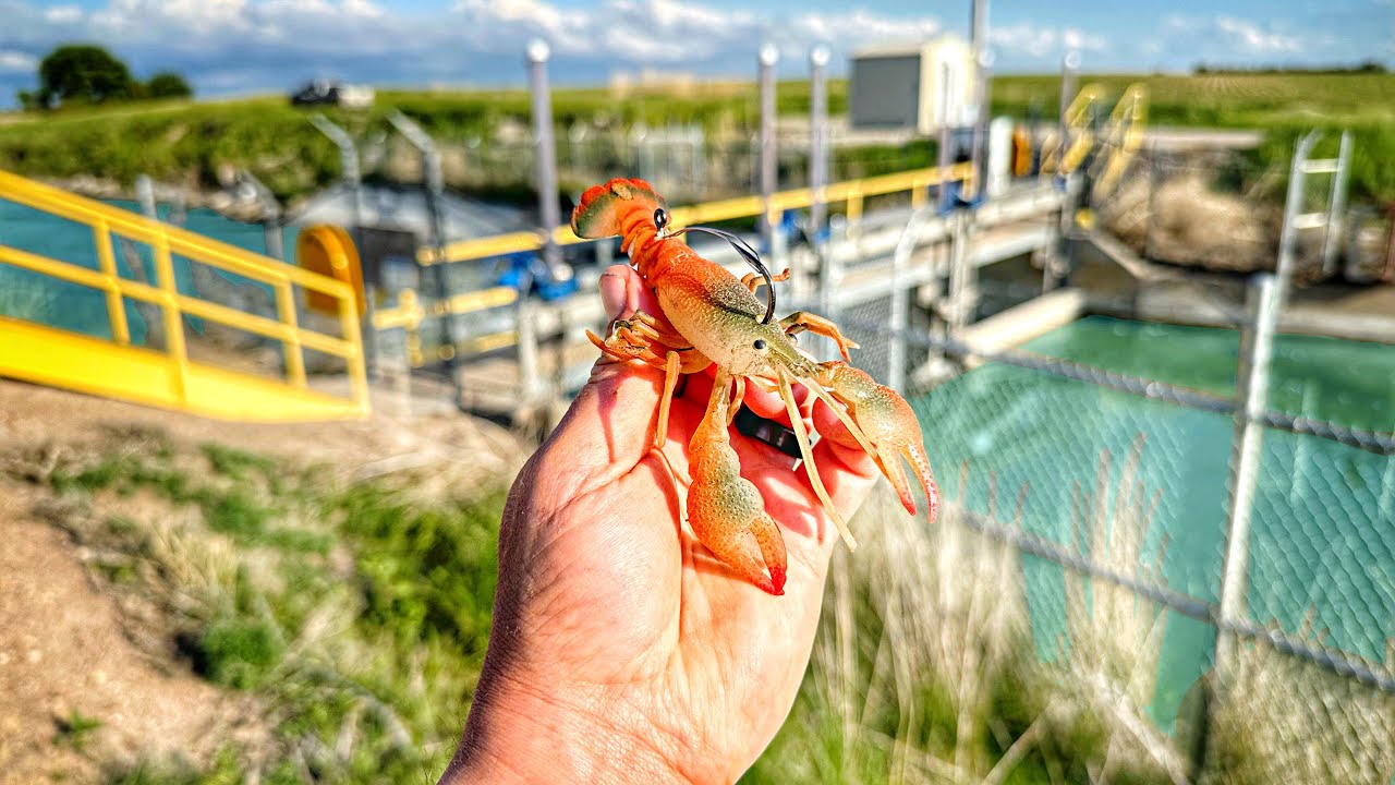 I Threw A REALISTIC CRAWFISH Into A RAGING CANAL!!! (It Got Destroyed ...