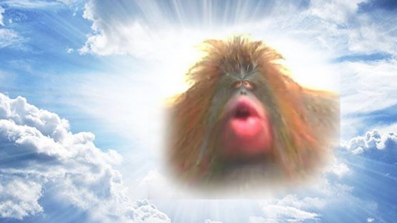 Goodbye Kracc Bacc 😔😭💔 - YouTube