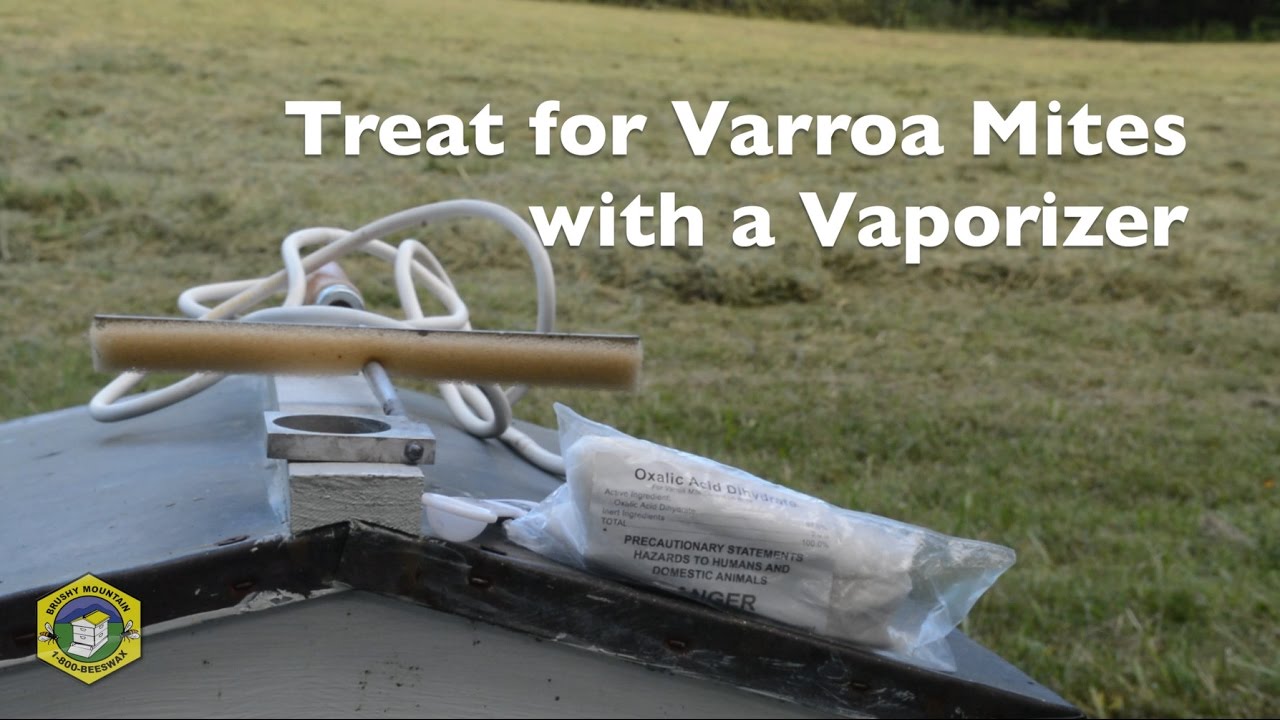 Using a Vaporizer to Treat for Varroa Mites - YouTube