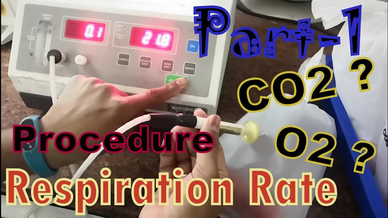 How To Measure Respiration Rate In Fruits Vegetables Headspace how-to-measure-respiration-rate-in-fruits-vegetables-headspace