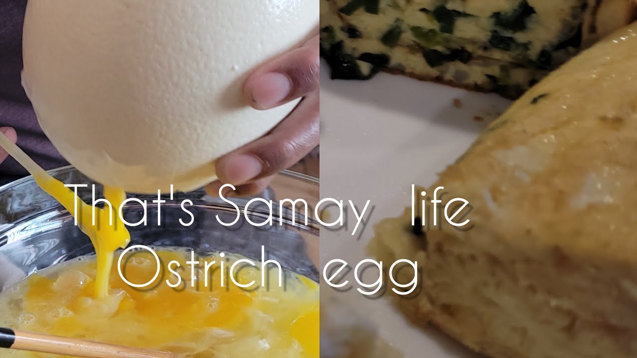 How we open an Ostrich Egg, intact keep the shell on, and make omelette ...