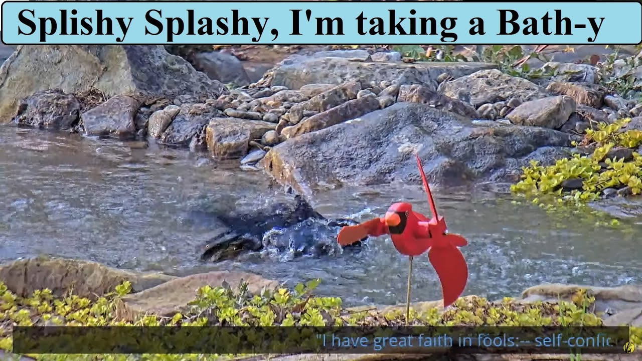 Day in the Life: Splish Splash, Time for A Bath - YouTube