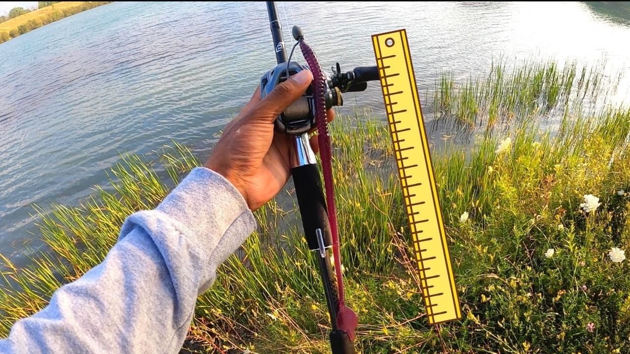 Pond Fishing with a 12 Inch Worm - YouTube