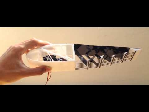 Final Year Project on a Fish-Like Morphing Wing - Rui Wu