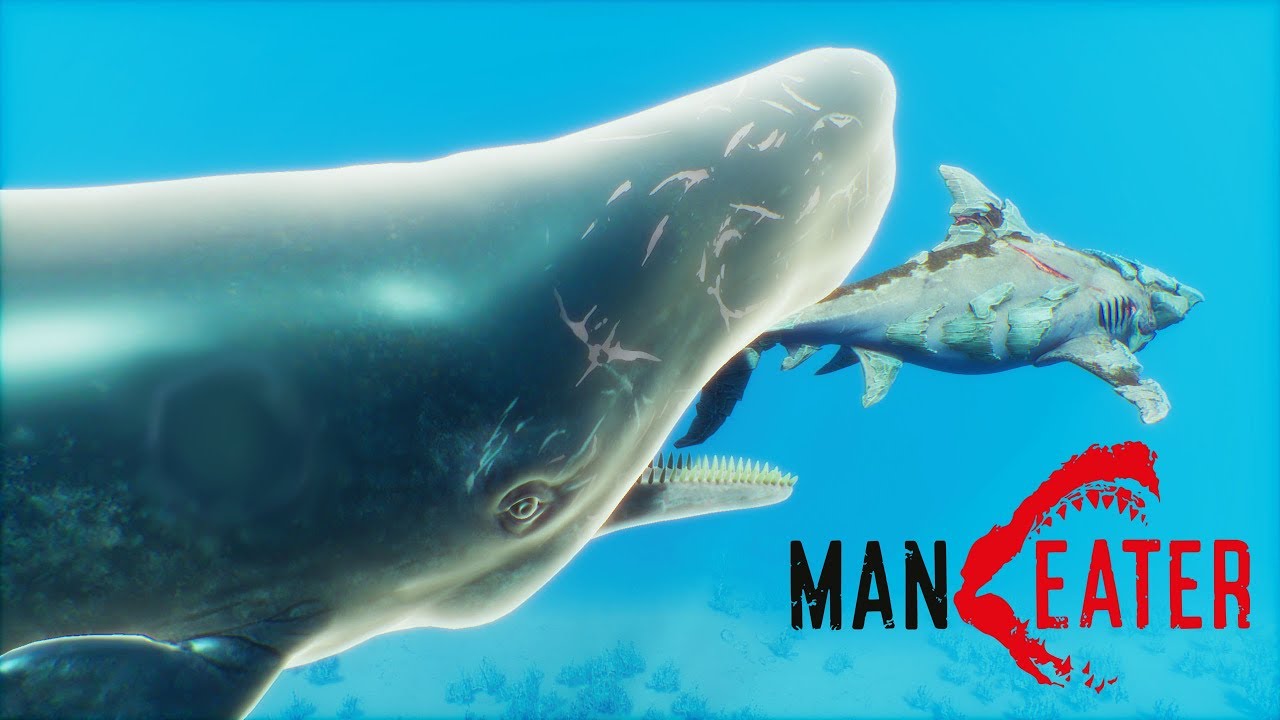 TIBURÓN GIGANTE CONTRA BALLENAS MONSTRUOSAS!! MEGALODON CONTRA ...