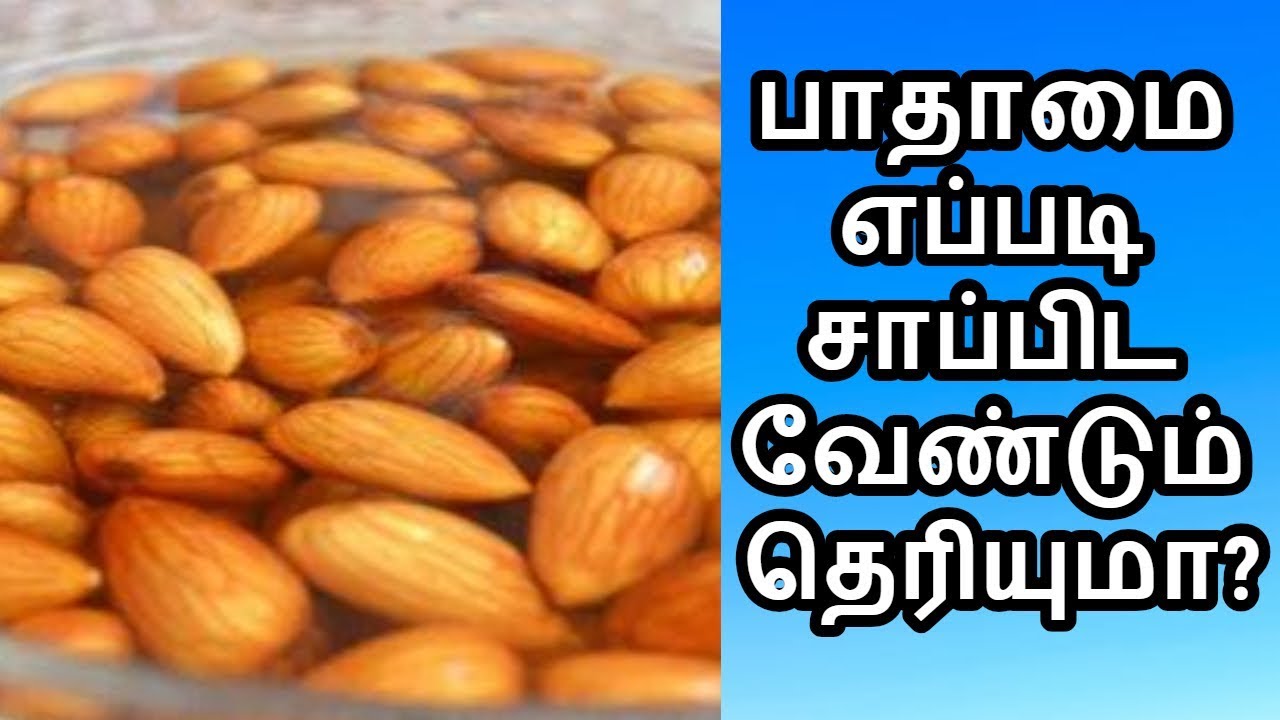 how to eat badam paruppu in tamil | Tamil Sign - YouTube