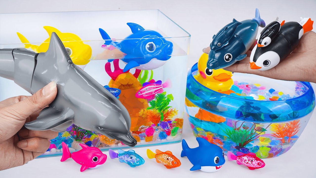 [Toy asmr] RC Dolphin & Zuru Robo Fish & Harp's Aquarium & Penguin ASMR ...