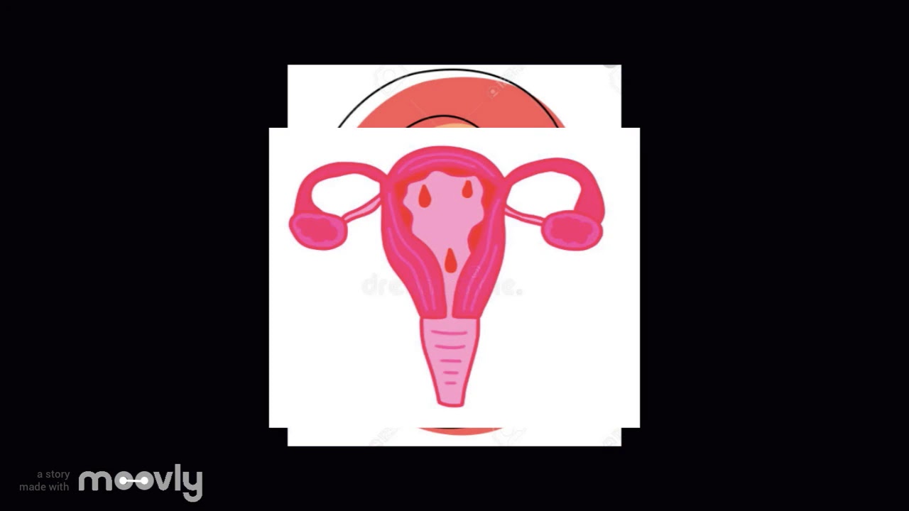 Miscarriage YouTube miscarriage-youtube