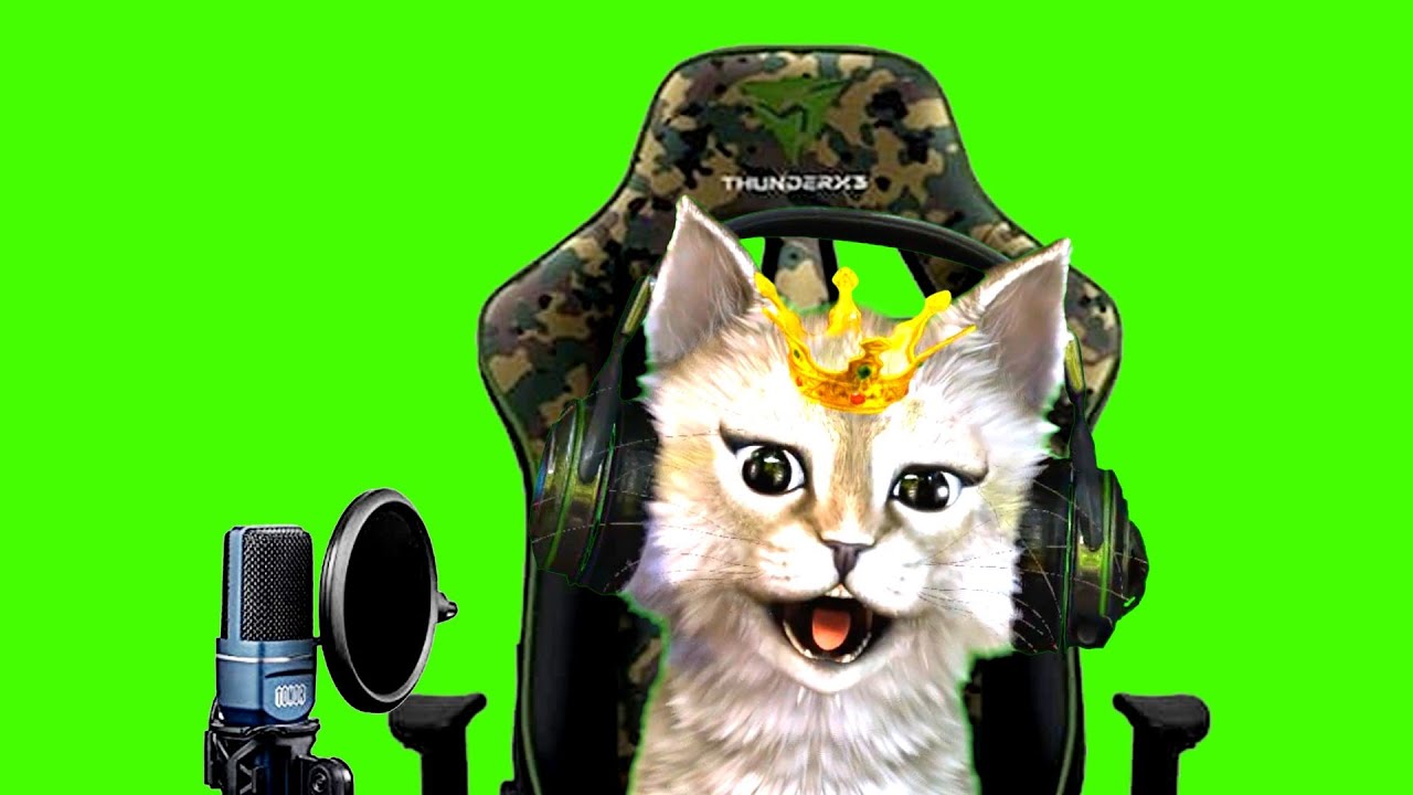 kucing putih custom green screen facerig 10 menit full 1440p - YouTube