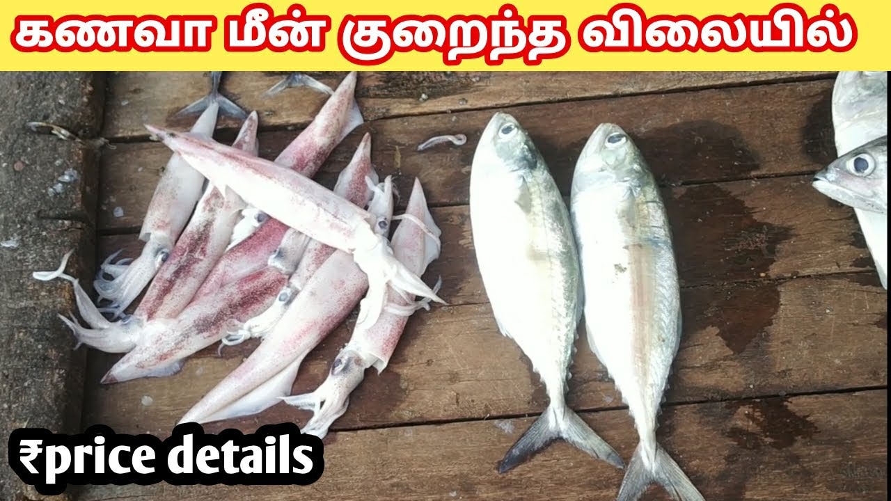 தக்கலையில் பல வகை மீன்கள் (Low price fish) % Offers Today fish rate and ...