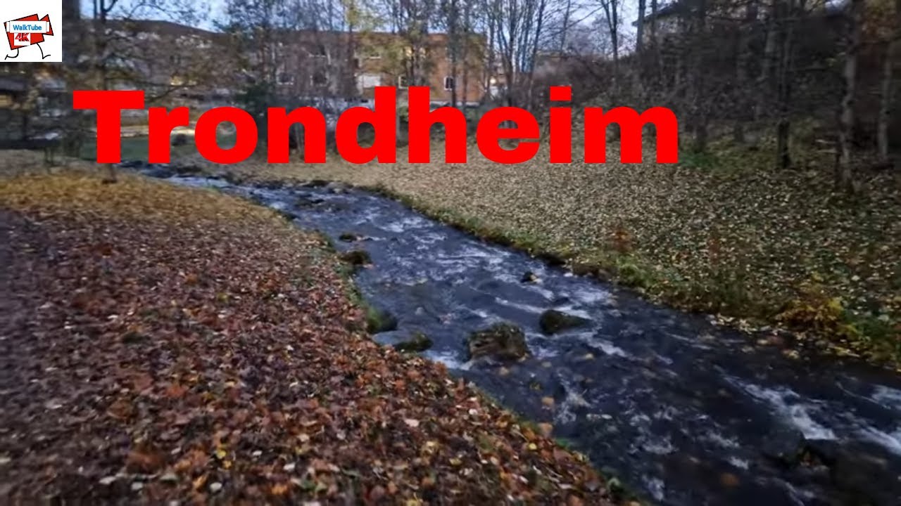 Explore Stunning Waterfall In Trondheim, Norway - November 2nd, 2024 ...