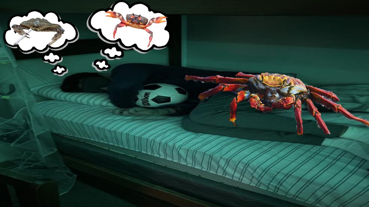 Comprehensive Guide to Becoming a Crab. - YouTube