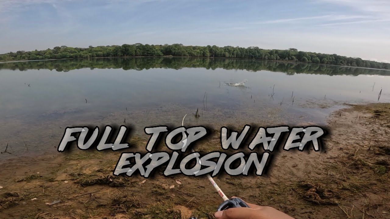 CASTING PEACOCK BASS | 🔥TOP WATER EXPLOSION 🔥 | Ep 39 - YouTube
