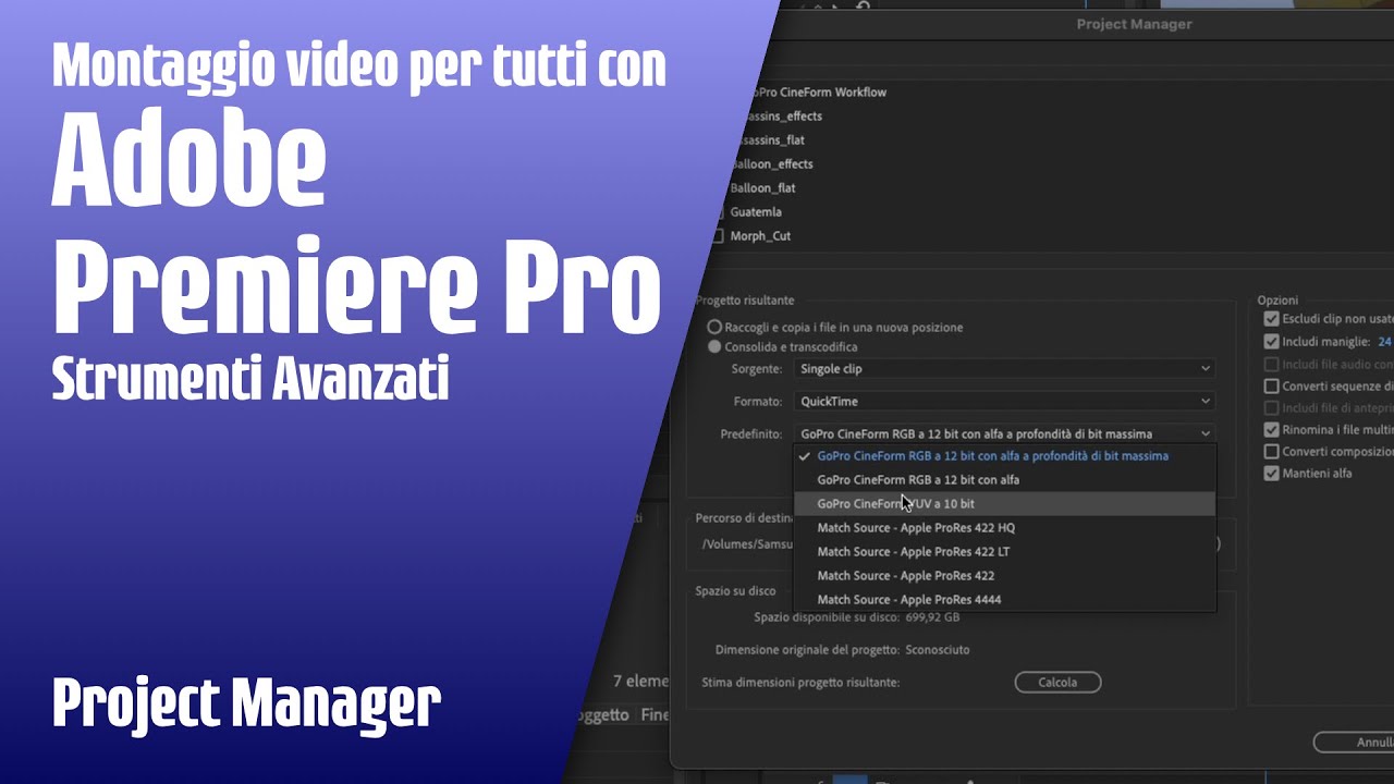 Adobe Premiere Pro: il Project manager - YouTube