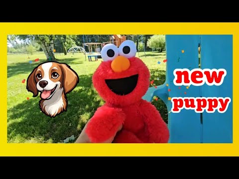 Elmo Gets A New Puppy! 🐶| Learning About Taking Care of Pets | Kids ...