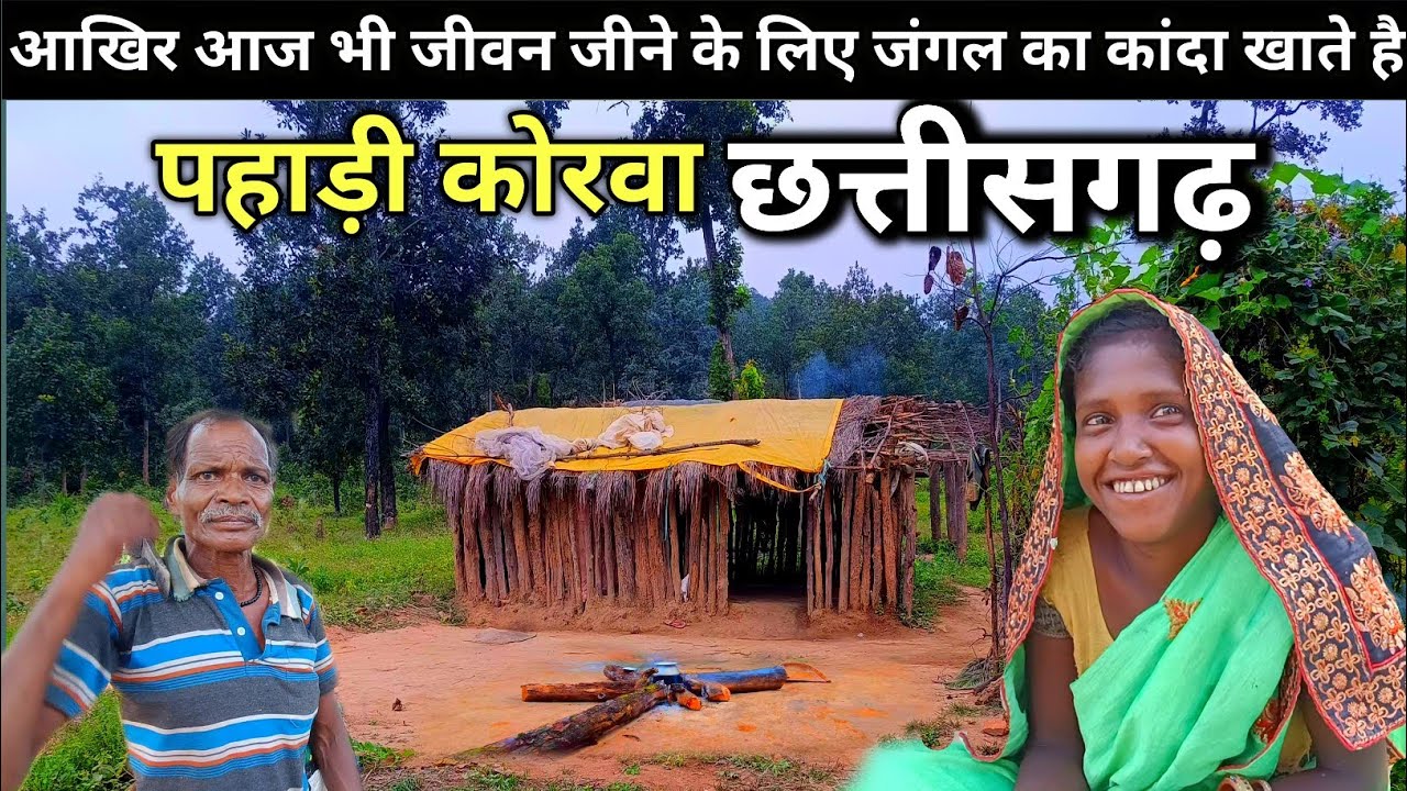 आज भी जंगल से कांदा निकाल कर खाते है । पहाड़ी कोरवा छत्तीसगढ़ l Pahadi ...