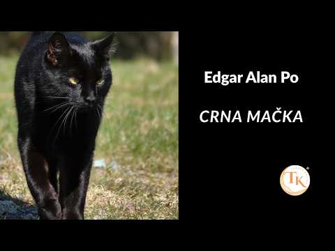 Crna Mačka