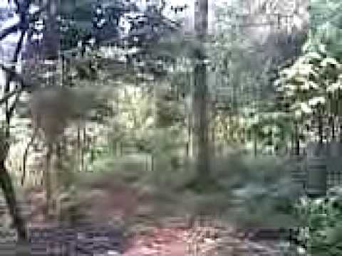 Calon ade ipar naik sepeda