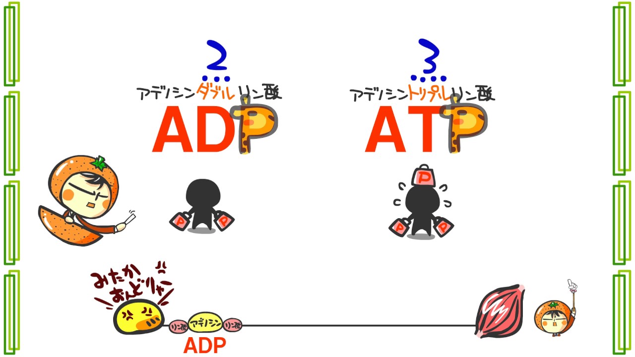 生物1章7話「ATP」byWEB玉塾 - YouTube