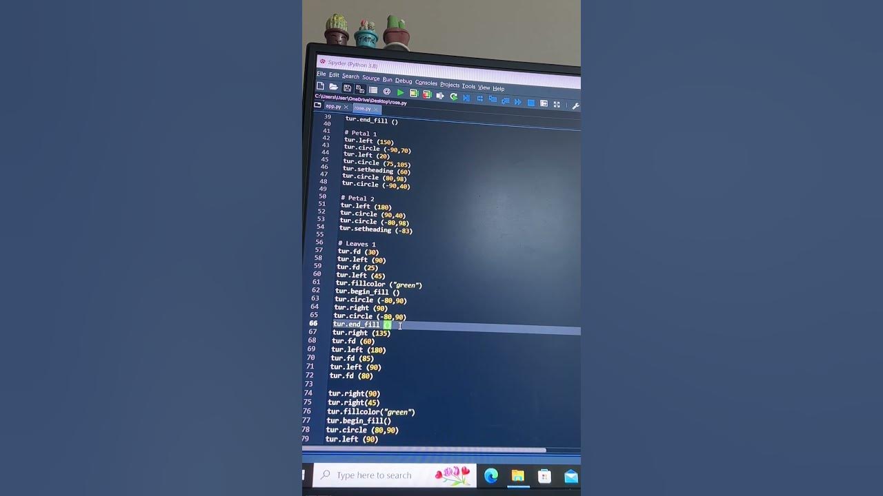 How do coders celebrate Valentines day | Python coding status #shorts #coders #valentinesday # ...
